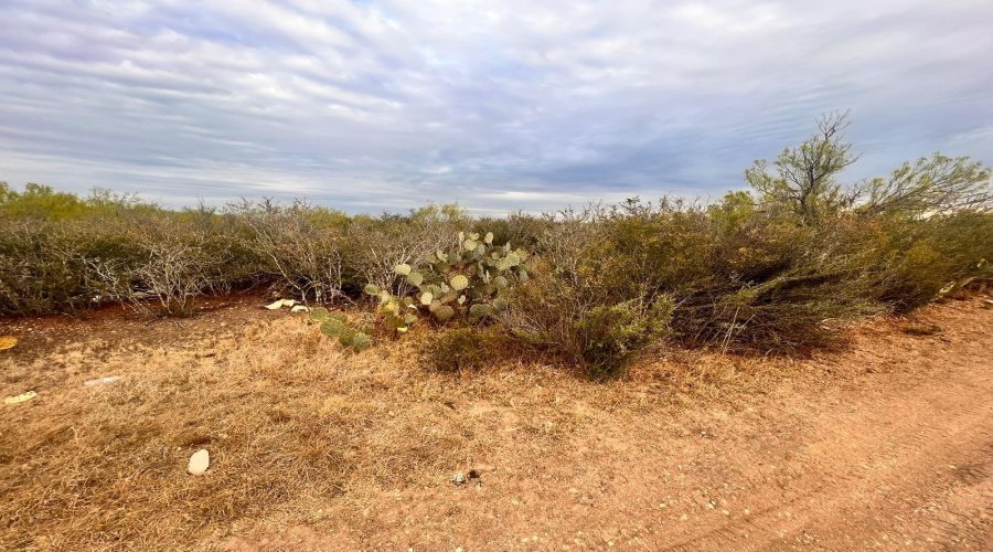 Land – – – – Price $30,000 | Laredo Real Estate Magazine