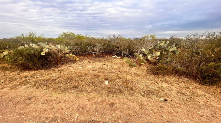 Land – – – – Price $30,000 | Laredo Real Estate Magazine