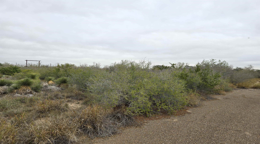 Land – – – – Price $97,000 | Laredo Real Estate Magazine